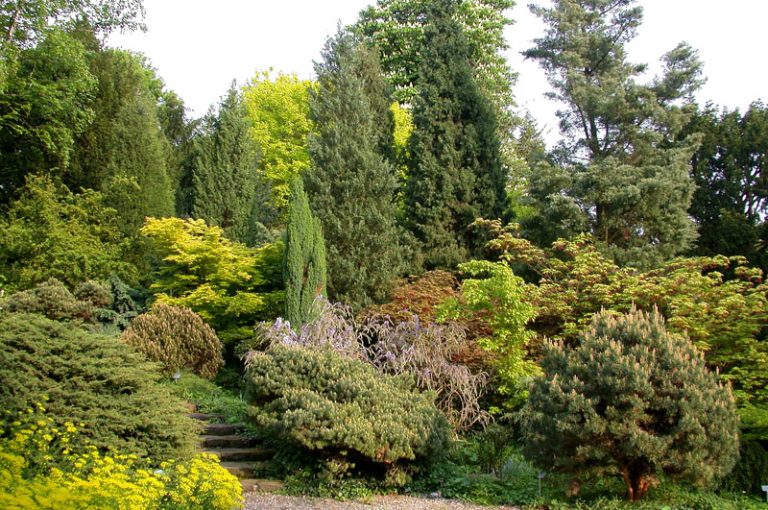 德国哈勒植物园公园 - 放眼园艺-世界园艺之门