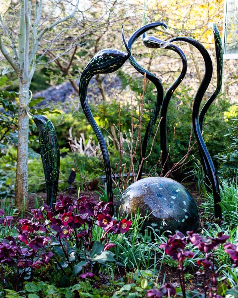 美国Chihuly玻璃艺术花园 - 放眼园艺-世界园艺之门