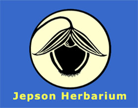 美国杰普森植物标本馆植物群项目 - 放眼园艺-世界园艺之门