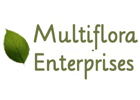 美国 Multiflora Enterprises棕榈苗圃 – 专业苗圃，但不久之后引入了其他植物来补充棕榈 - 放眼园艺-世界园艺之门