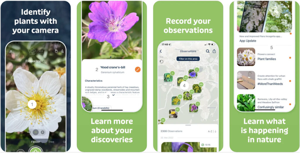 德国Flora Incognita植物识别APP - 放眼园艺-世界园艺之门