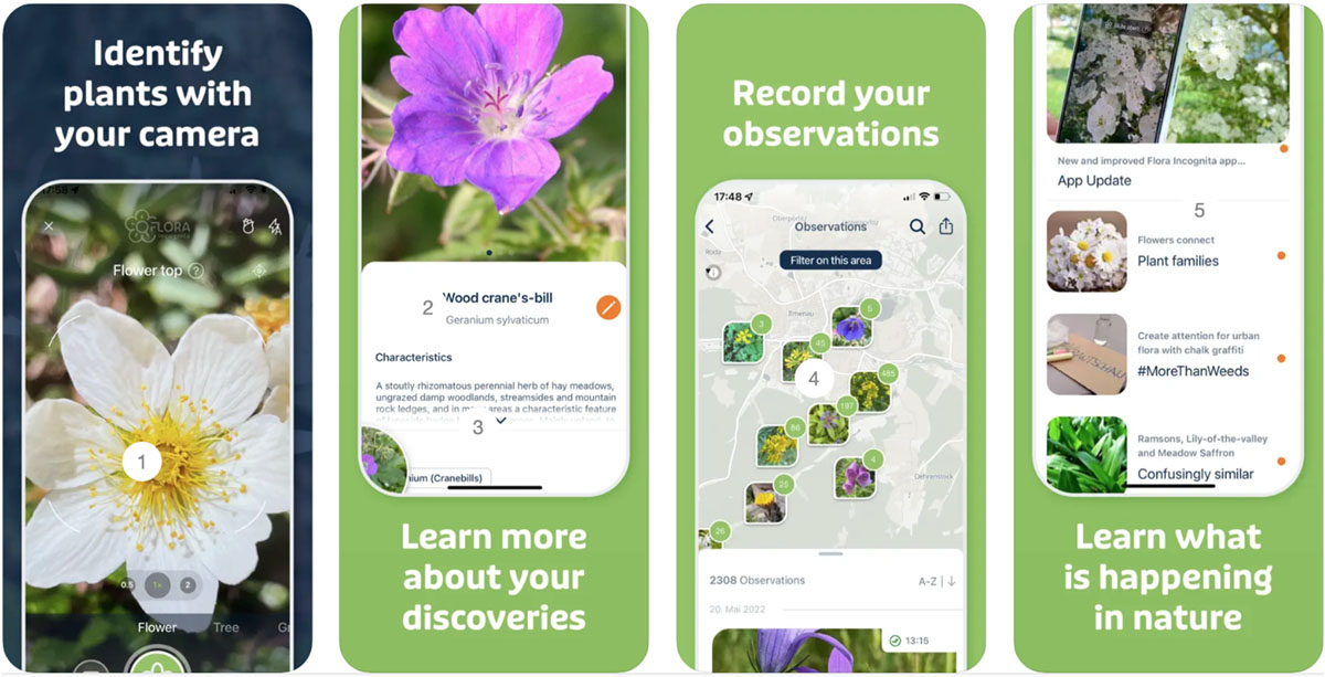 德国Flora Incognita植物识别APP - 放眼园艺-世界园艺之门